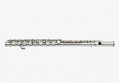 Traducción de WESTERN CONCERT FLUTE al español | Diccionario de inglés ...