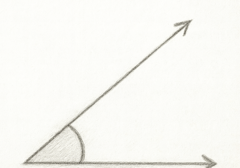 ANGLED - Definition & Meaning - Reverso English Dictionary