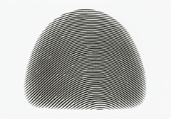 ARCHED - Definition & Meaning - Reverso English Dictionary