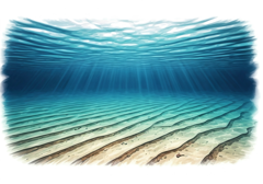 BANKED - Definition & Meaning - Reverso English Dictionary