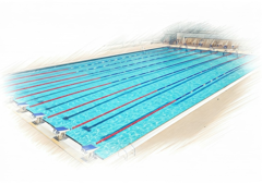 Traduction BASSIN en anglais | Dictionnaire français-anglais | Reverso