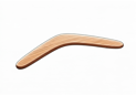 BOOMERANG - Definition & Meaning - Reverso English Dictionary