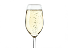 BUBBLY - Definition & Meaning - Reverso English Dictionary