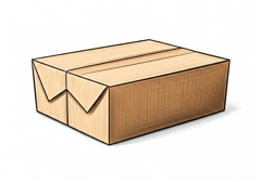 CARTON - Definition & Meaning - Reverso English Dictionary