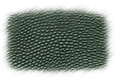 Définition de CHAGRIN - Dictionnaire français Reverso