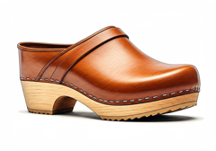 CLOG - Definition & Meaning - Reverso English Dictionary