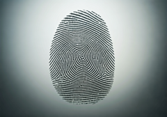 CLUE - Definition & Meaning - Reverso English Dictionary