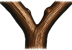 CROTCH - Definition & Meaning - Reverso English Dictionary