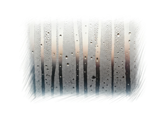 DAMP - Definition & Meaning - Reverso English Dictionary