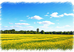 DAY - Definition & Meaning - Reverso English Dictionary