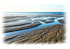 DERELICTION - Definition & Meaning - Reverso English Dictionary