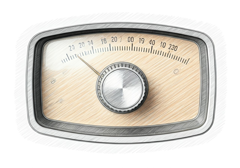 DIAL - Definition & Meaning - Reverso English Dictionary