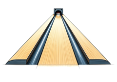 DITCHED - Definition & Meaning - Reverso English Dictionary