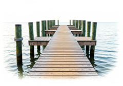 DOCK - Definition & Meaning - Reverso English Dictionary