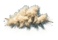 DUSTED - Definition & Meaning - Reverso English Dictionary