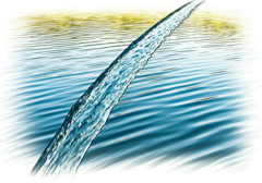 EFFLUENT - Definition & Meaning - Reverso English Dictionary