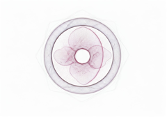 Définition de FILIGRANE - Dictionnaire français Reverso