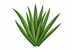 FLAGGED - Definition & Meaning - Reverso English Dictionary