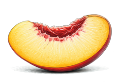 FLESH - Definition & Meaning - Reverso English Dictionary