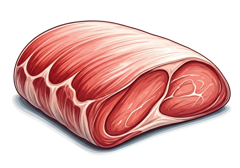FLESHING - Definition & Meaning - Reverso English Dictionary