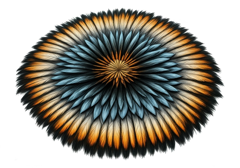 FRILL - Definition & Meaning - Reverso English Dictionary