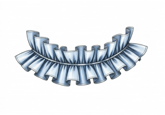 FRILL - Definition & Meaning - Reverso English Dictionary