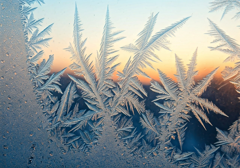 FROST - Definition & Meaning - Reverso English Dictionary