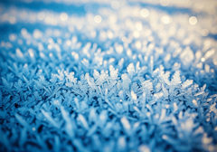 FROST - Definition & Meaning - Reverso English Dictionary