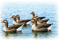 GAGGLE - Definition & Meaning - Reverso English Dictionary