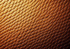 GRAINED - Definition & Meaning - Reverso English Dictionary