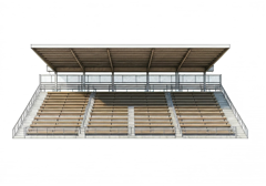 GRANDSTANDING - Definition & Meaning - Reverso English Dictionary