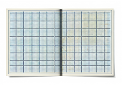 GRID - Definition & Meaning - Reverso English Dictionary