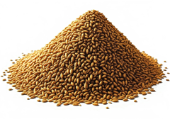 GRIST - Definition & Meaning - Reverso English Dictionary