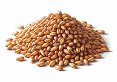 GRIST - Definition & Meaning - Reverso English Dictionary