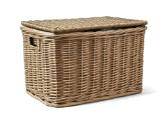 HAMPERED - Definition & Meaning - Reverso English Dictionary