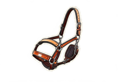 HARNESS - Definition & Meaning - Reverso English Dictionary