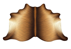 HIDE - Definition & Meaning - Reverso English Dictionary