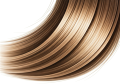 HIGHLIGHTED - Definition & Meaning - Reverso English Dictionary