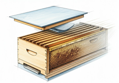 HIVE - Definition & Meaning - Reverso English Dictionary