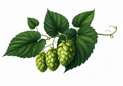 HOP - Definition & Meaning - Reverso English Dictionary