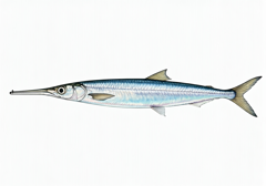 LANCE - Definition & Meaning - Reverso English Dictionary