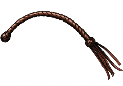 LASHING - Definition & Meaning - Reverso English Dictionary