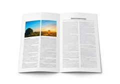 LEAFLET - Definition & Meaning - Reverso English Dictionary