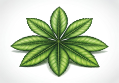 LEAFLET - Definition & Meaning - Reverso English Dictionary