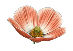 limb - Traduction en français - exemples anglais | Reverso Context