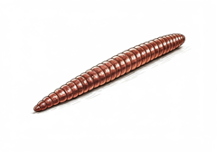 LOBBING - Definition & Meaning - Reverso English Dictionary