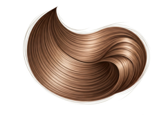 LOCK - Definition & Meaning - Reverso English Dictionary