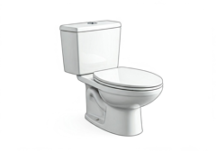 LOO - Definition & Meaning - Reverso English Dictionary