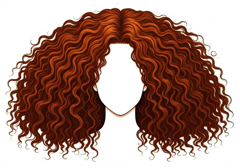 MANE - Definition & Meaning - Reverso English Dictionary