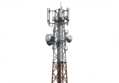 MAST - Definition & Meaning - Reverso English Dictionary